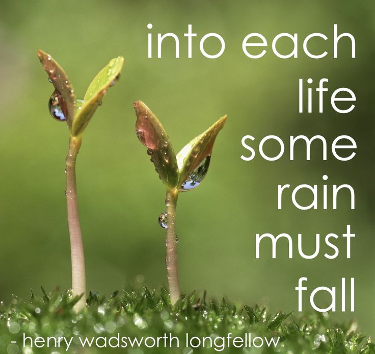 Day 159 – Life Is Like a Storm