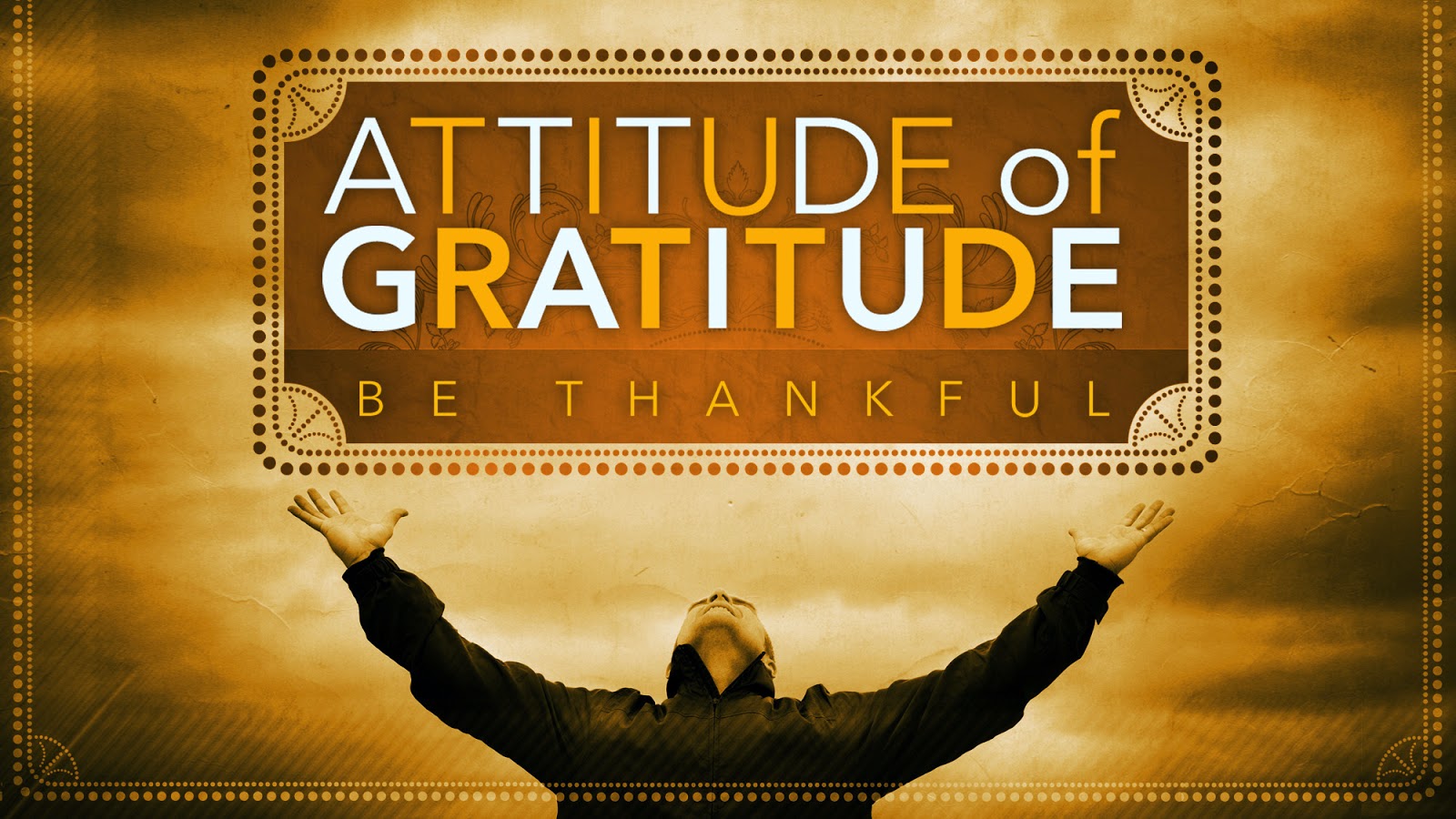 Day 173 4 Steps To Unleash Gratitude In Your Life