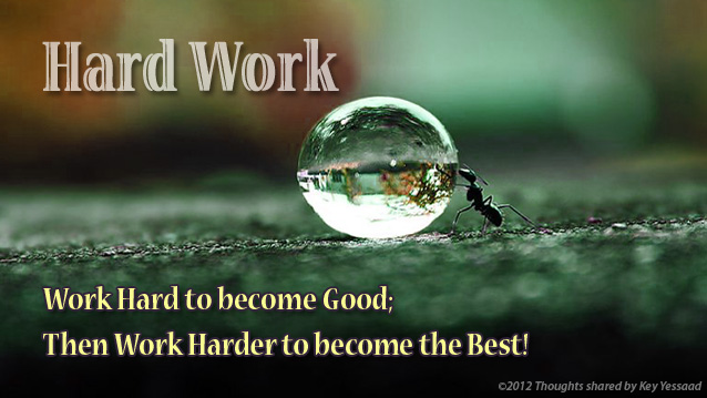 Day 197 – Proverbs 6:6-11 Lessons for Daily Life #2 - Wisdom-Trek