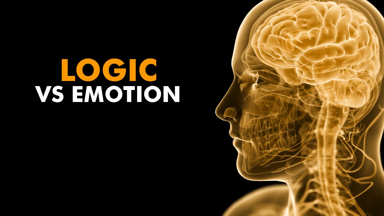 Day 194 – Rationalize or Rational Lies? Part 1