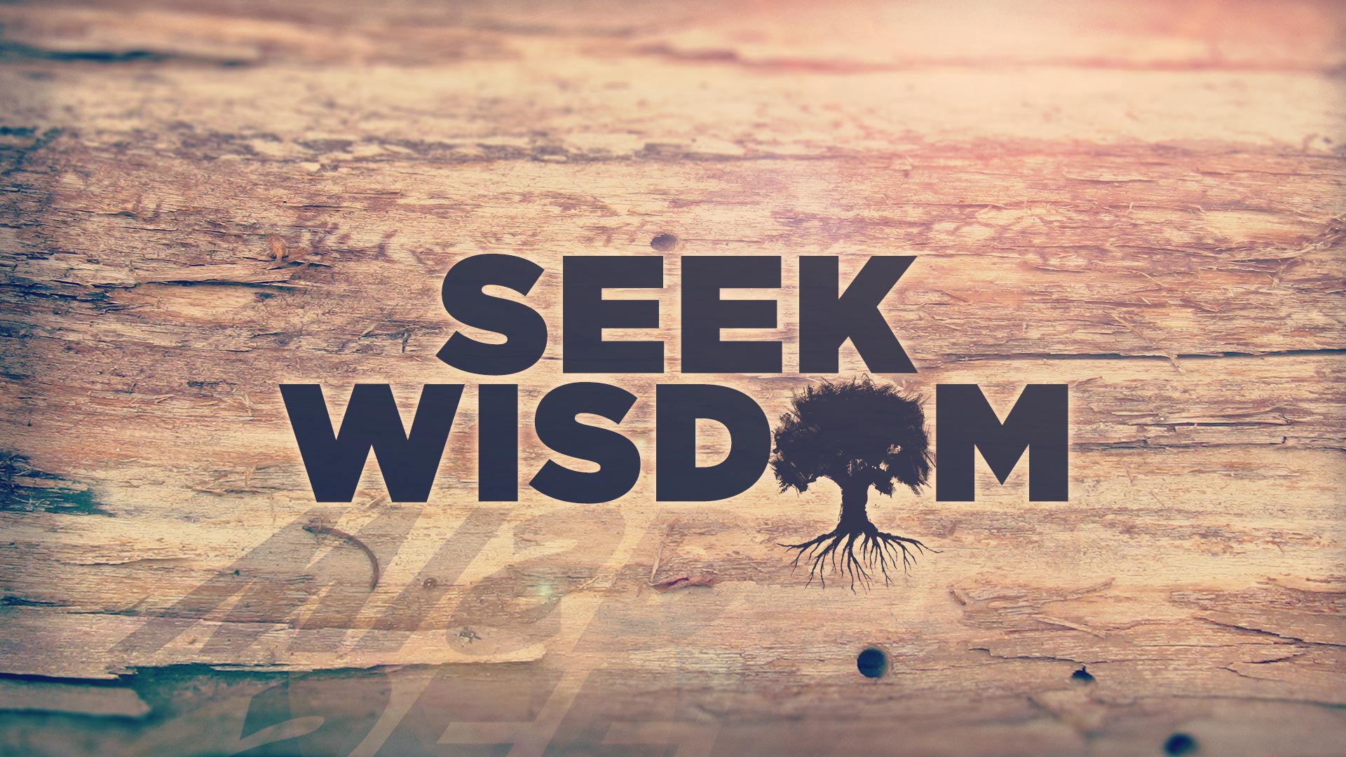 Welcome To Wisdom Trek Welcome To Wisdom Trek