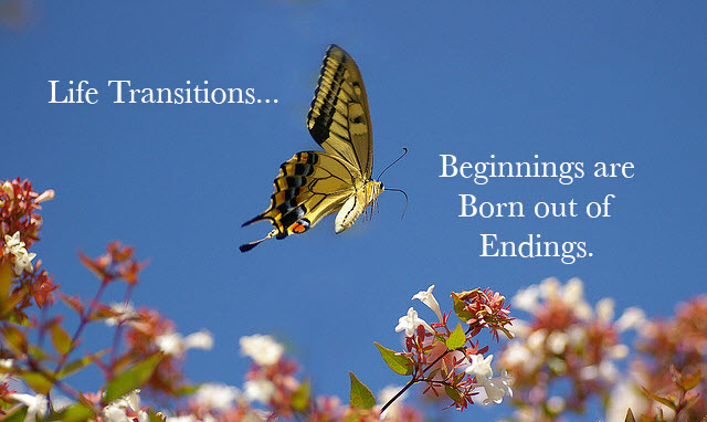 Day 309 – 5 Tips to Navigate Life’s Transitions - Wisdom-Trek
