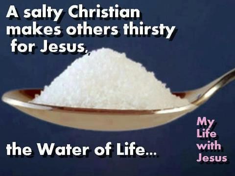 Day 567 – Are You a Salty Person? – Wisdom Unplugged - Wisdom-Trek