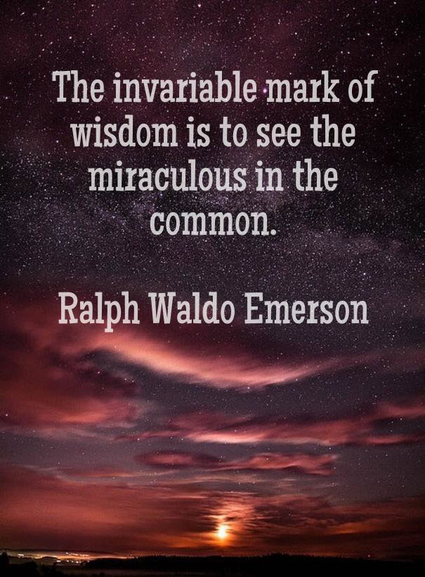 Day 590 – The Mark of Wisdom – Wisdom Unplugged - Wisdom-Trek