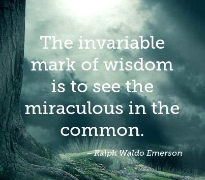 Day 590 – The Mark of Wisdom – Wisdom Unplugged - Wisdom-Trek