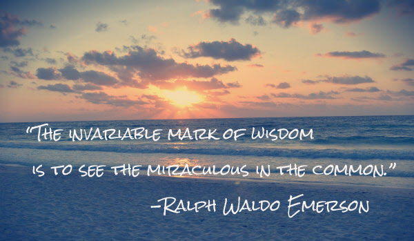 Day 590 – The Mark of Wisdom – Wisdom Unplugged - Wisdom-Trek