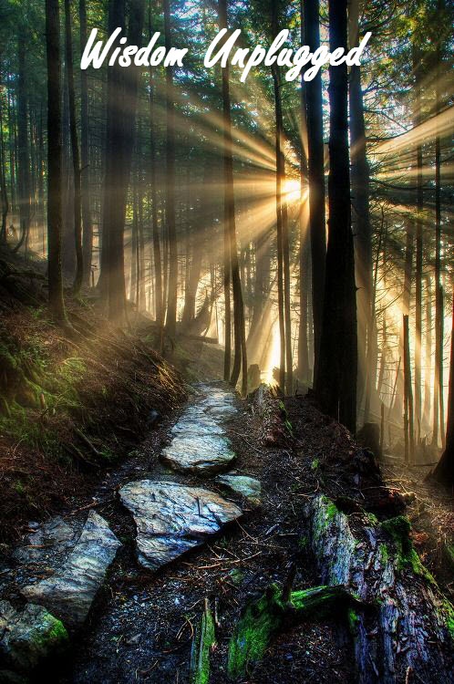 Day 590 – The Mark of Wisdom – Wisdom Unplugged - Wisdom-Trek