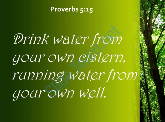 Day 586 – Rejecting Lady Folly – Proverbs 5 - Wisdom-Trek