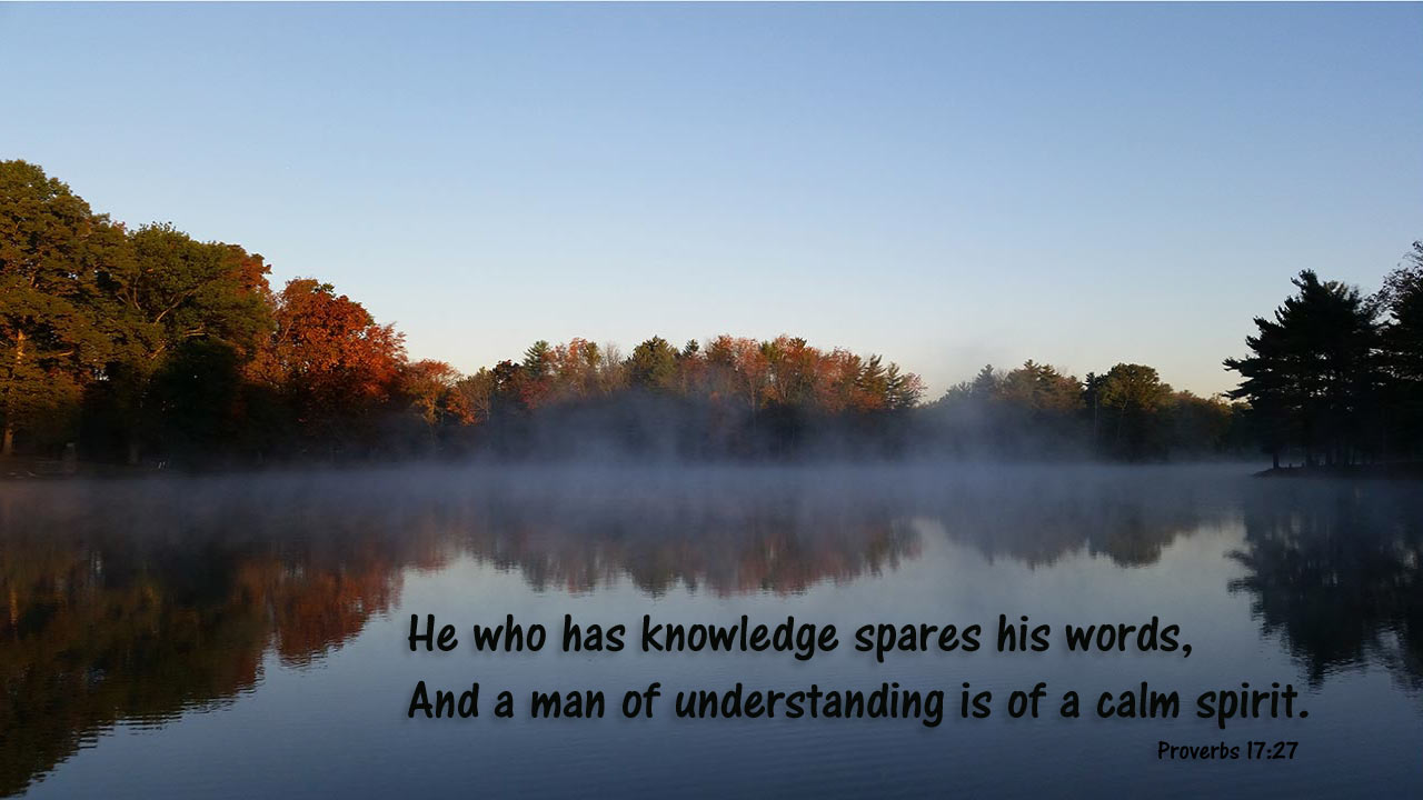 Day 646 – Harmony And Restraint – Proverbs 17 - Wisdom-Trek