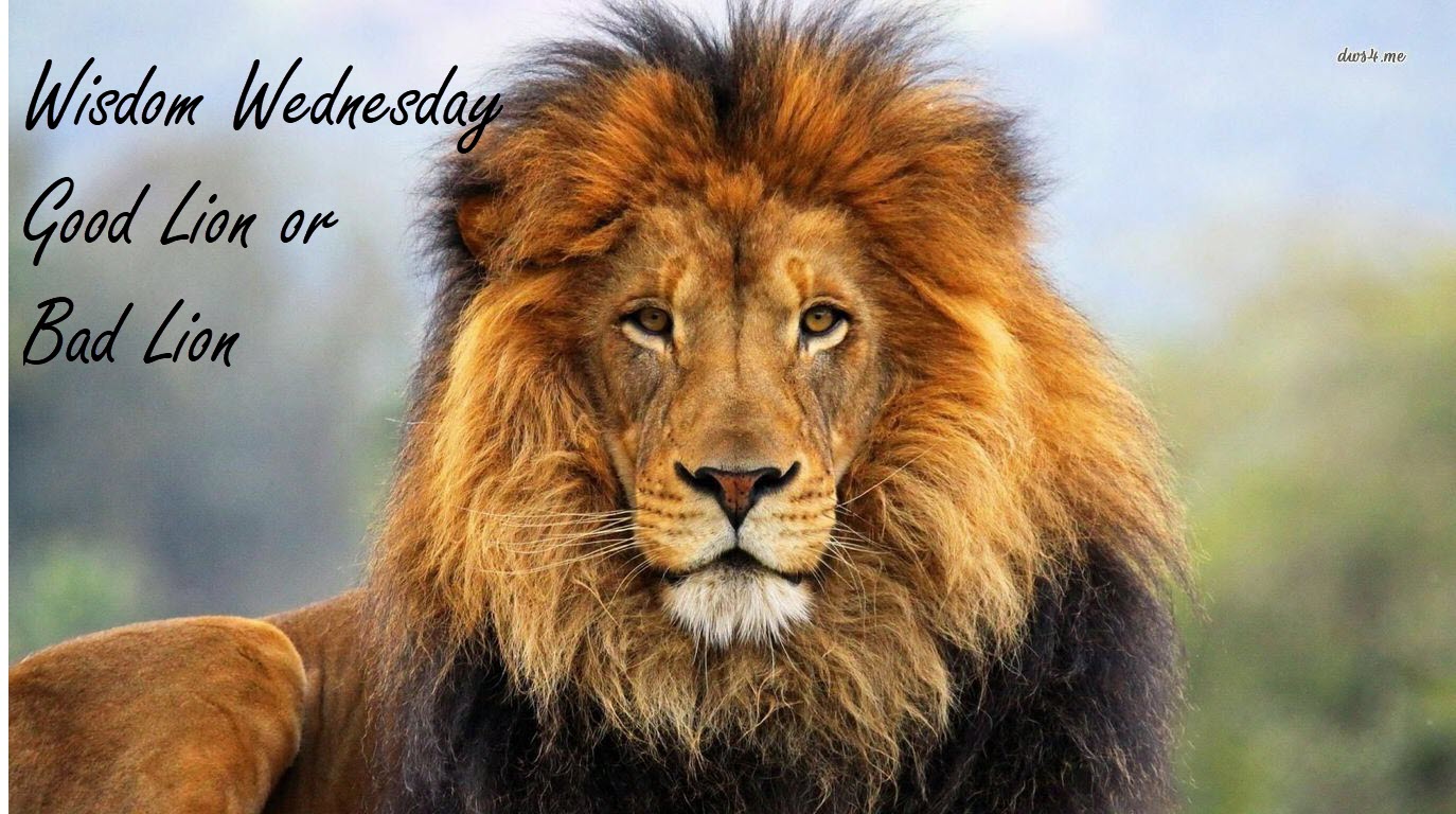 Day 701 – Good Lion, Bad Lion – Proverbs 28 - Wisdom-Trek