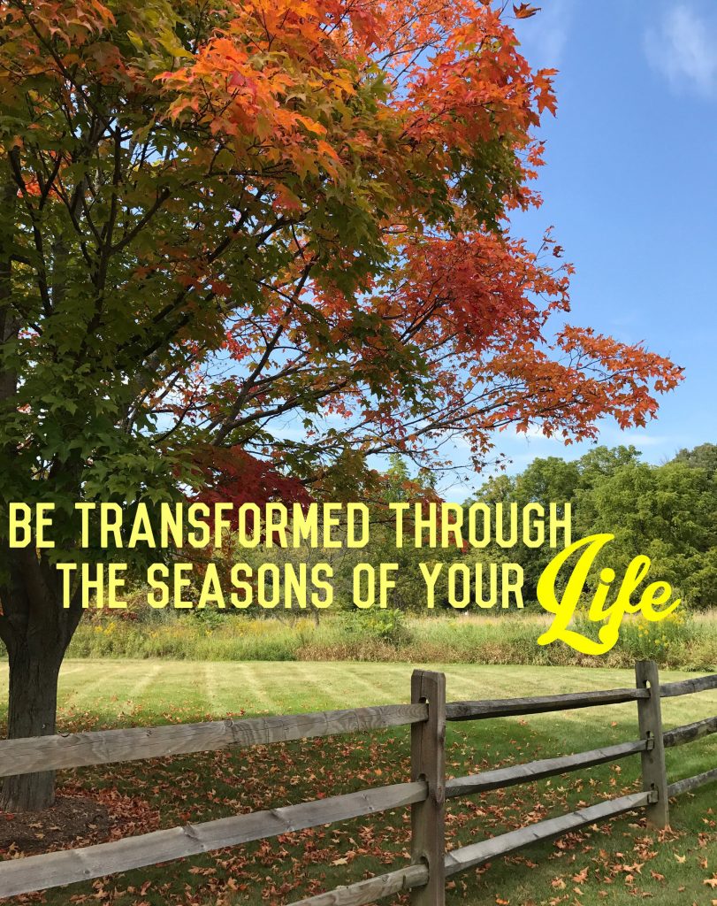 Day 753 – The Seasons of Life – Ask Gramps - Wisdom-Trek