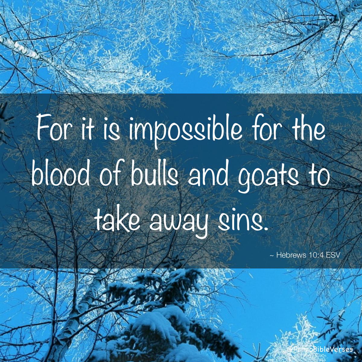 Day 861 – Sin Offering vs. Forgiveness – Wisdom Wednesday - Wisdom-Trek