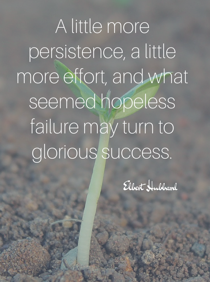 PERSISTENCE + EFFORT = SUCCESS 3 - Wisdom-Trek PERSISTENCE + EFFORT = SUCCESS 3 - Wisdom-Trek