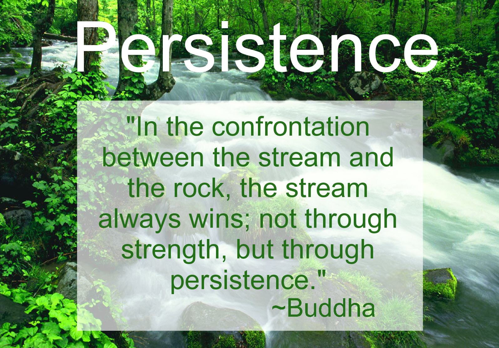 Day 890 – Persistence + Effort = Success, Wisdom Unplugged - Wisdom-Trek