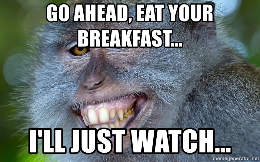 Day 907 – Go Eat Your Breakfast – Humor Unplugged - Wisdom-Trek