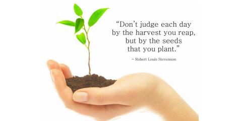 Day 984 – Learning a Little Each Day – Meditation Monday - Wisdom-Trek