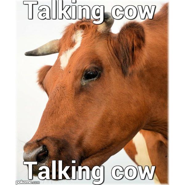 Day 1112– It’s a Miracle! – Humor Unplugged - Wisdom-Trek