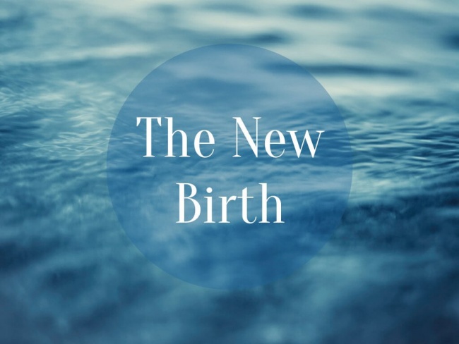 Day 1194 – Birth Springs from Death – Meditation Monday - Wisdom-Trek