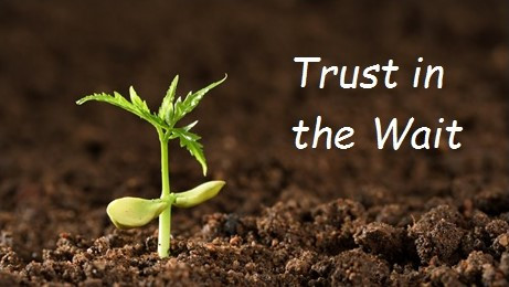 Day 1189 – Waiting Prayerfully – Meditation Monday - Wisdom-Trek