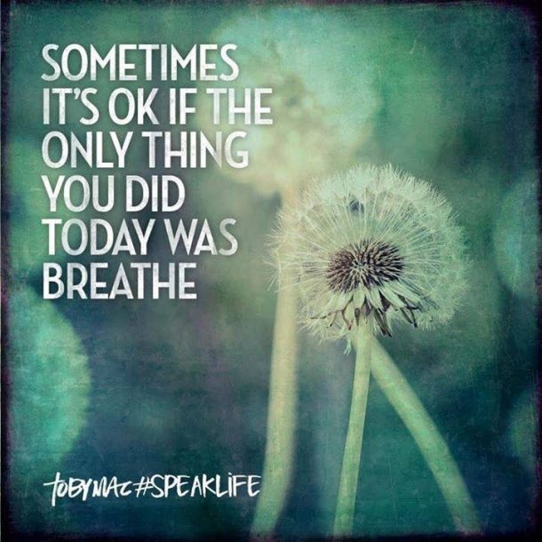 Day 1214 – Rest for the Weary Soul – Meditation Monday - Wisdom-Trek