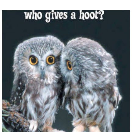 Day 1237 – Who Gives A Hoot – Humor Unplugged - Wisdom-Trek