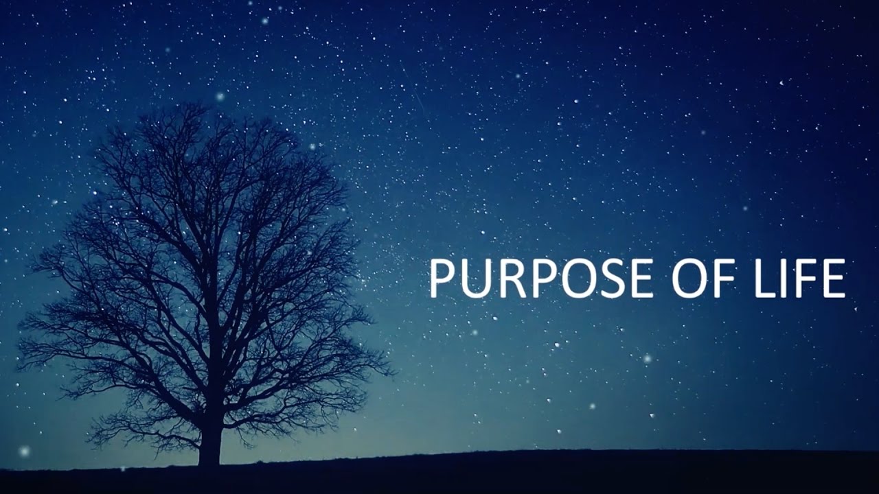 Day 1279 – Purpose That Brings Meaning to Life – Meditation Monday ...