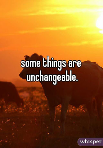 Day 1389 – Dealing with the Unchangeable – Meditation Monday - Wisdom ...