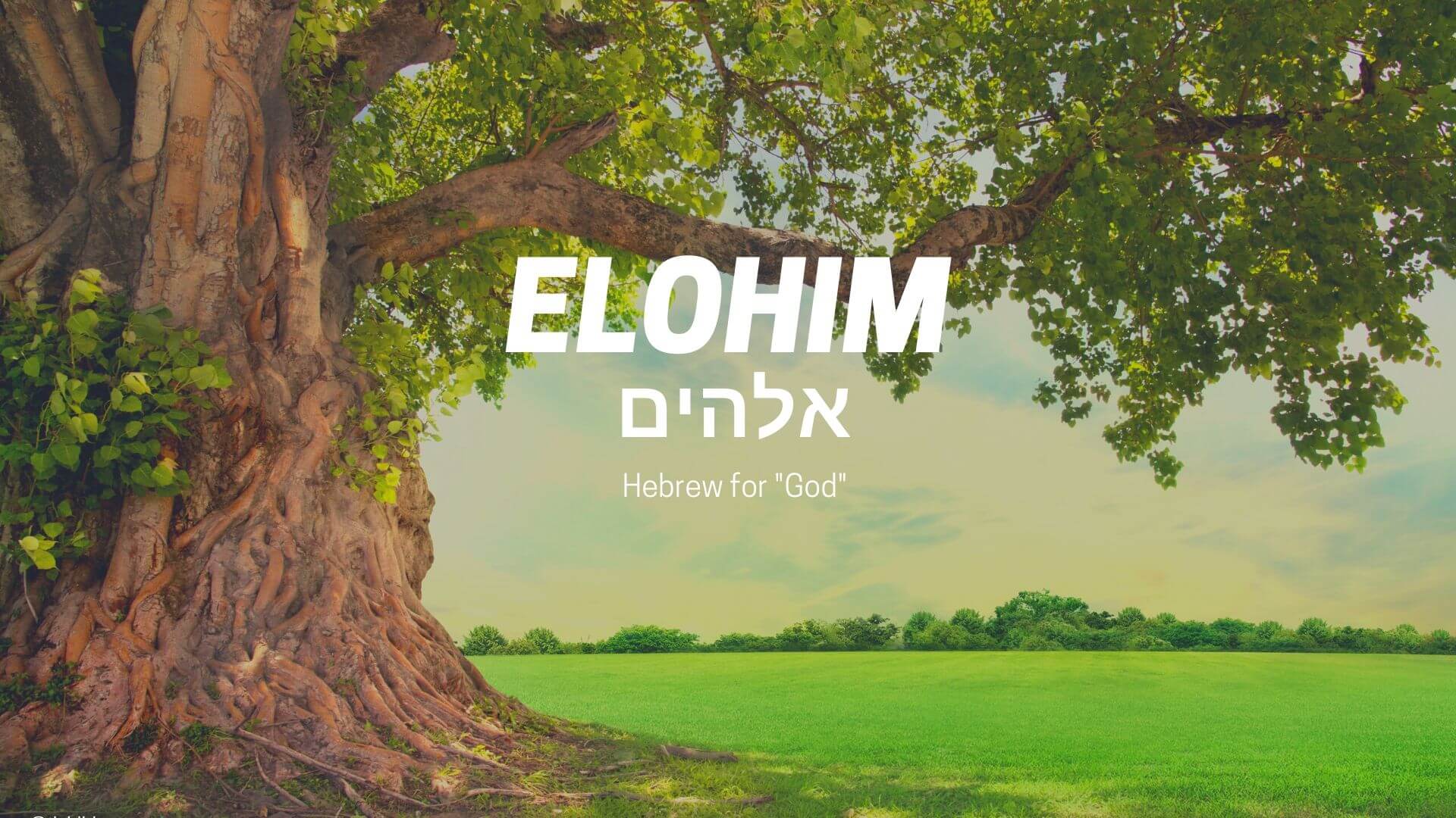 Day 1466 – Elohim In The Divine Council – Worldview Wednesday - Wisdom ...