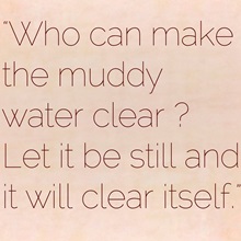 Day 1573 – Remain Still – Daily Wisdom - Wisdom-Trek