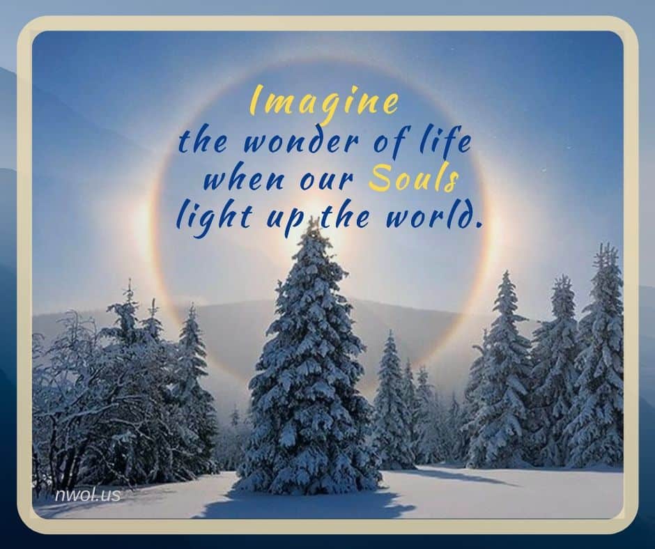 Day 1585 – The Wonder of Life – Daily Wisdom - Wisdom-Trek