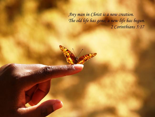 Day 1742 – Touched By God – Daily Wisdom - Wisdom-Trek