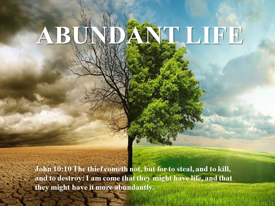 Day 1885 – True Abundance – Daily Wisdom - Wisdom-Trek