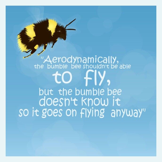 Day 1908 – Fly Anyway – Daily Wisdom - Wisdom-Trek
