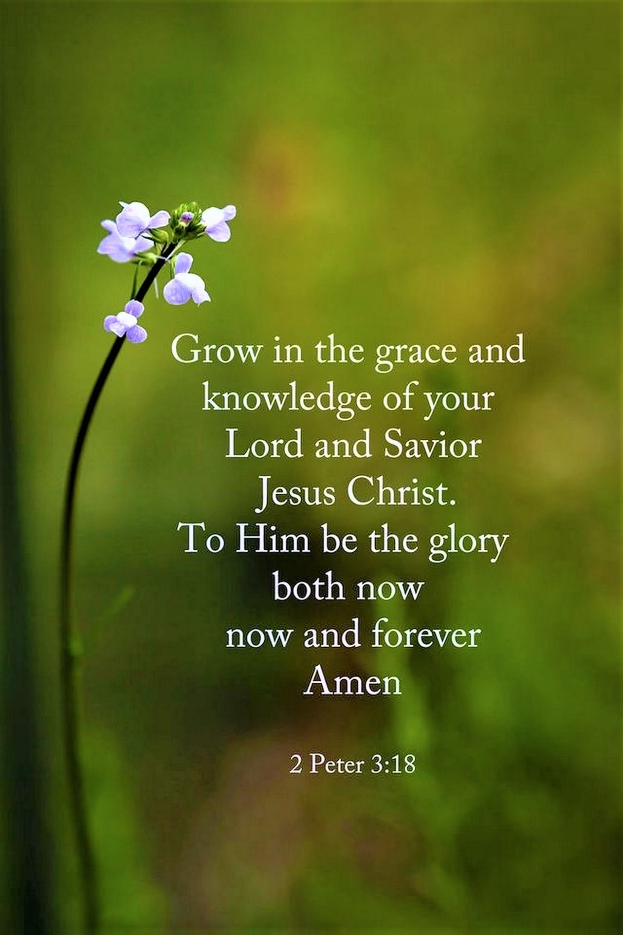 Day 1927 – Grow In Him Step By Step – Daily Wisdom - Wisdom-Trek