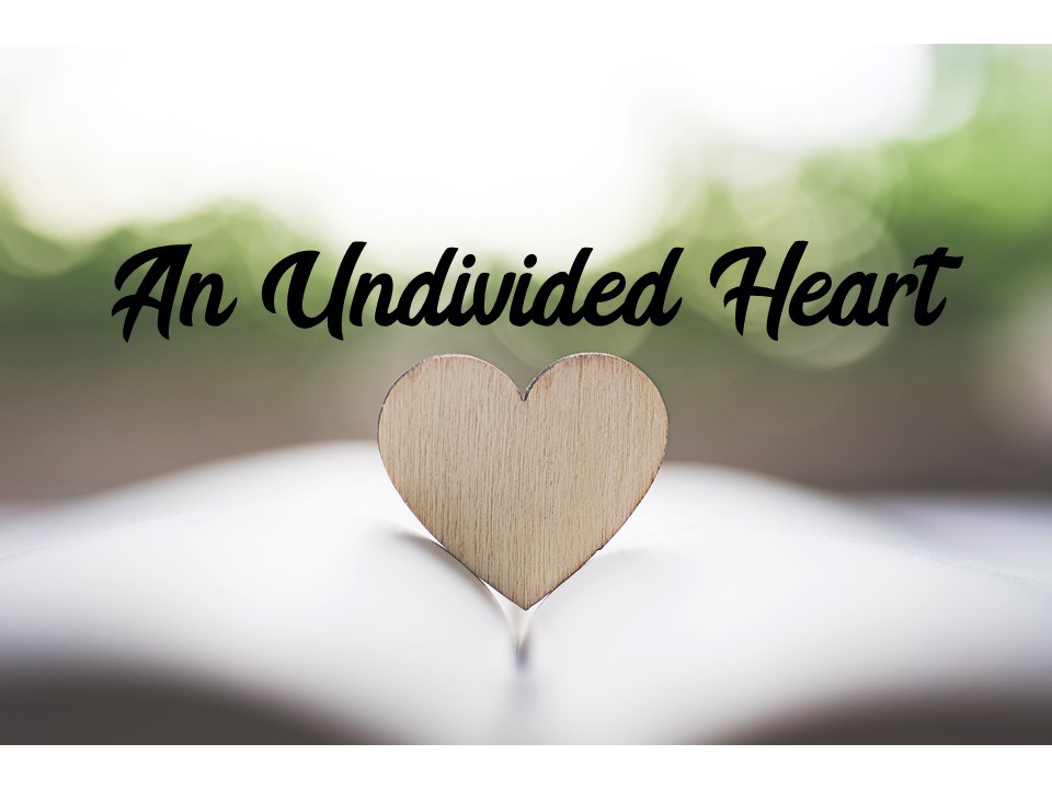 Day 1993 – An Undivided Heart – Daily Wisdom - Wisdom-Trek