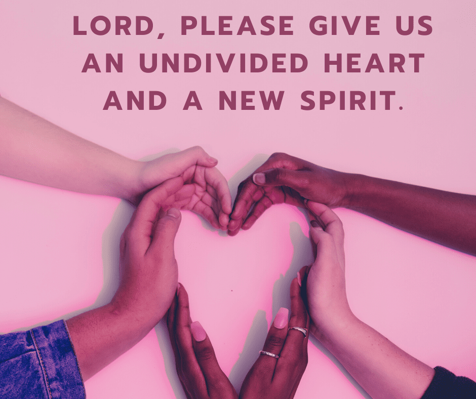 Day 1993 – An Undivided Heart – Daily Wisdom - Wisdom-Trek