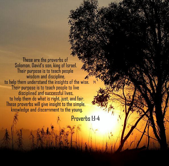 Day 2041 – The Book of Proverbs – Chapter 1 – Daily Wisdom - Wisdom-Trek