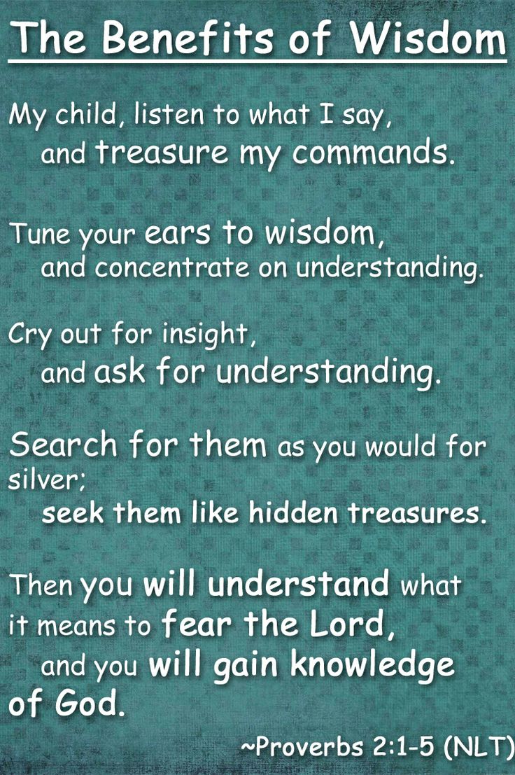 Day 2042 – The Book of Proverbs – Chapter 2 – Daily Wisdom - Wisdom-Trek