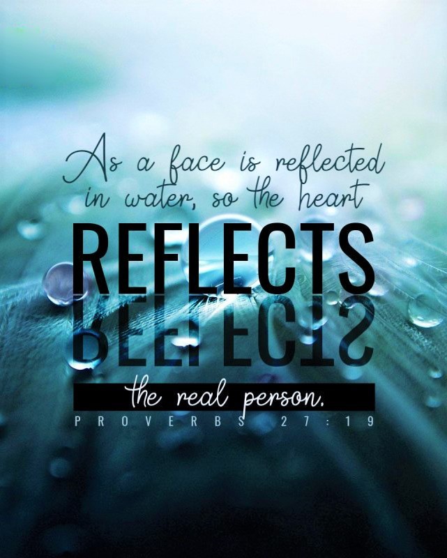 Day 2036 – The Book of Proverbs – Chapter 27 – Daily Wisdom - Wisdom-Trek