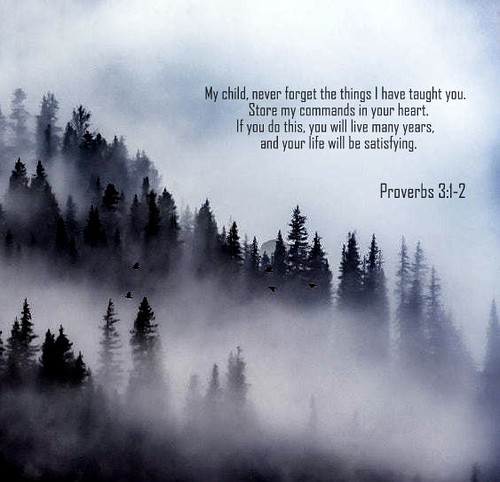 Day 2043 – The Book of Proverbs – Chapter 3 – Daily Wisdom - Wisdom-Trek