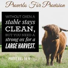 Day 2085 – The Book of Proverbs – Chapter 14 – Daily Wisdom - Wisdom-Trek