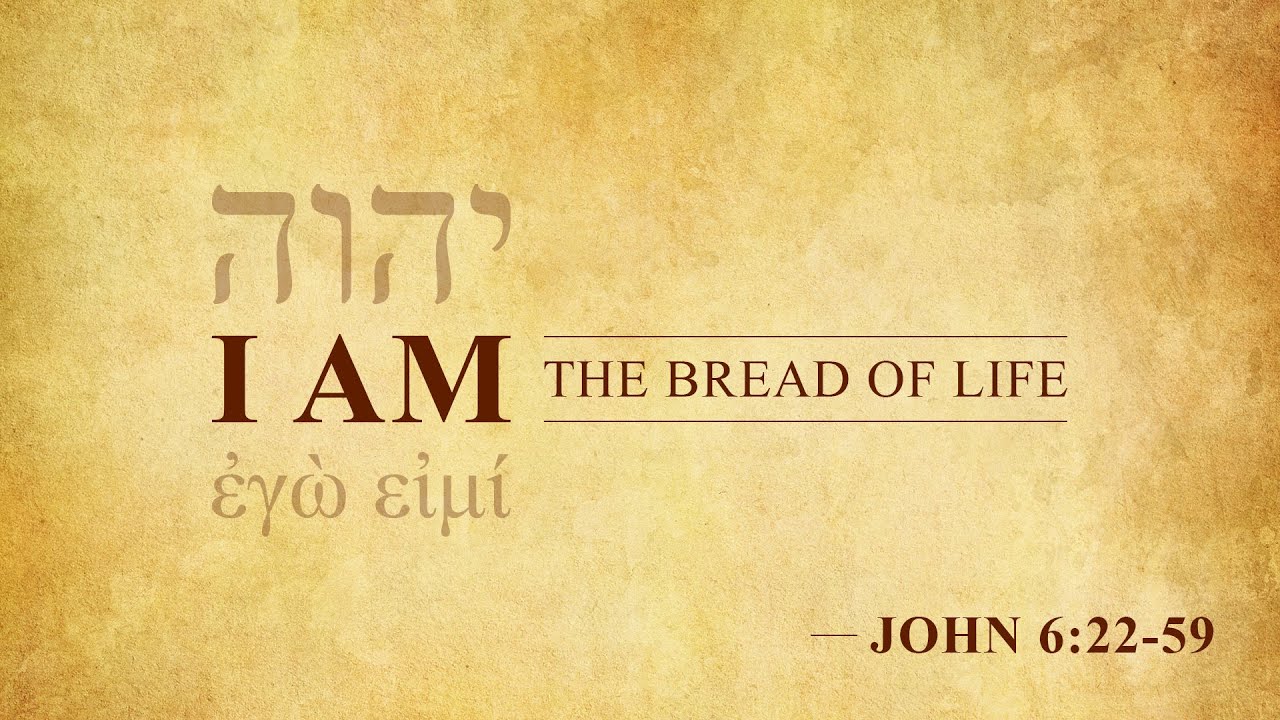 Day 2147 – The Gospel of John – 15 – Bread Delivered from Heaven ...