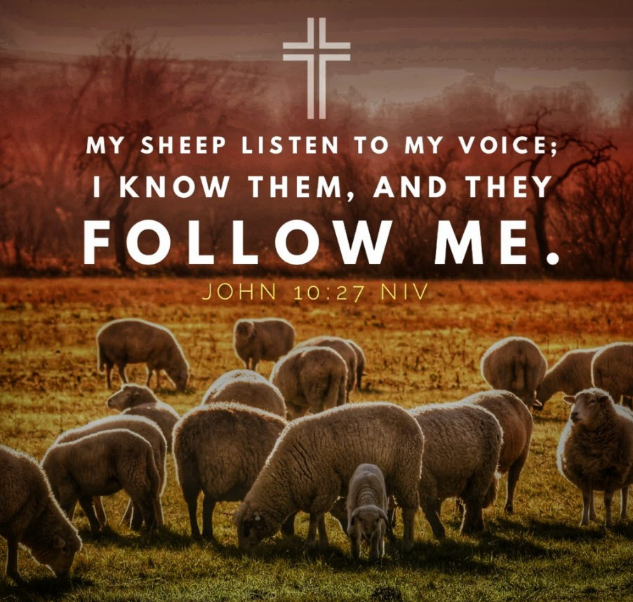 Day 2153 – The Gospel of John – 21 – The Living Door – Daily Wisdom ...