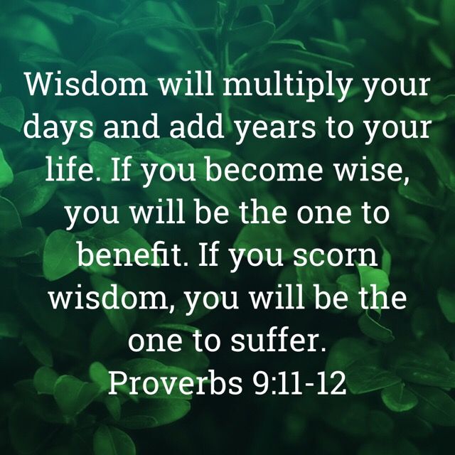 Day 2217 – Wisdom Nuggets – Proverbs 11:9-15 – Daily Wisdom - Wisdom-Trek
