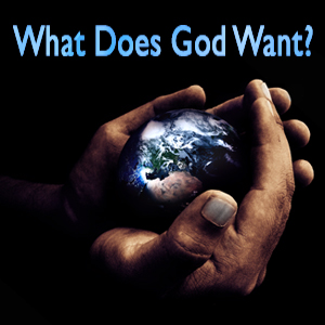 Day 2216 – What Does God Want? – What Do Disciples Do? – Daily Wisdom ...