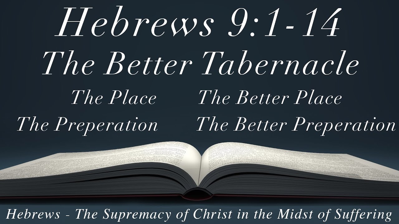 Day 2259 – Hebrews 14 – May I Speak To Your Conscience, Please – Daily Wisdom - Wisdom-Trek