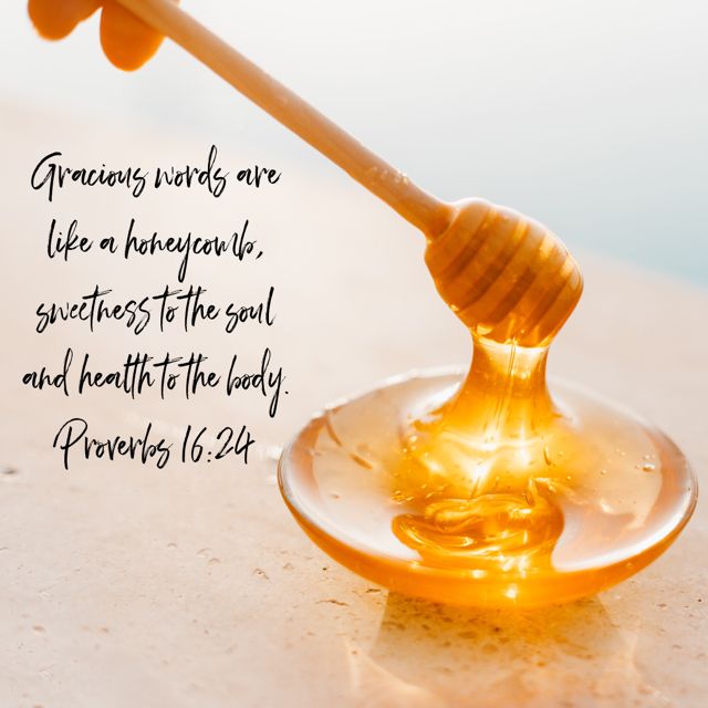 Day 2255 – Wisdom Nuggets – Proverbs 16:22-27 – Daily Wisdom - Wisdom ...