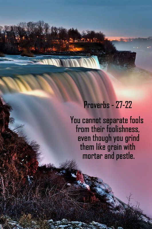 Day 2328 – Wisdom Nuggets – Proverbs 27:22-27 – Daily Wisdom - Wisdom ...