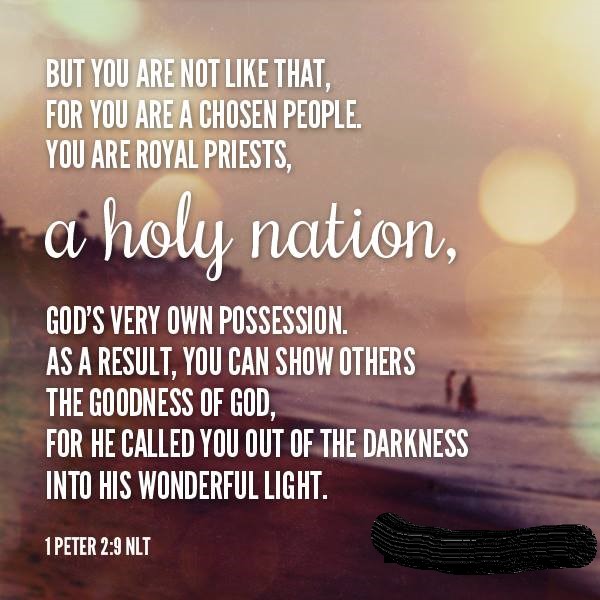 Day 2369 – OUR LIVING HOPE – BECOMING LIVING STONES 1 PETER 2:4-12 ...