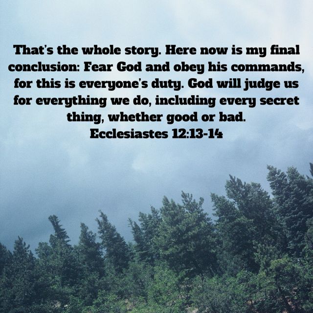 Day 2398 – Wisdom Nuggets – Ecclesiastes 12:8-14 – Daily Wisdom ...